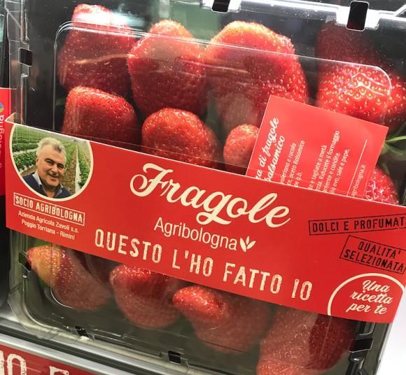Strawberry sales slump as consumers switch | Article | Fruitnet