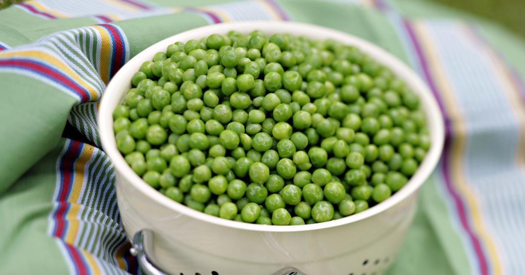 Yes Peas! looks to expand reach | Article | Fruitnet