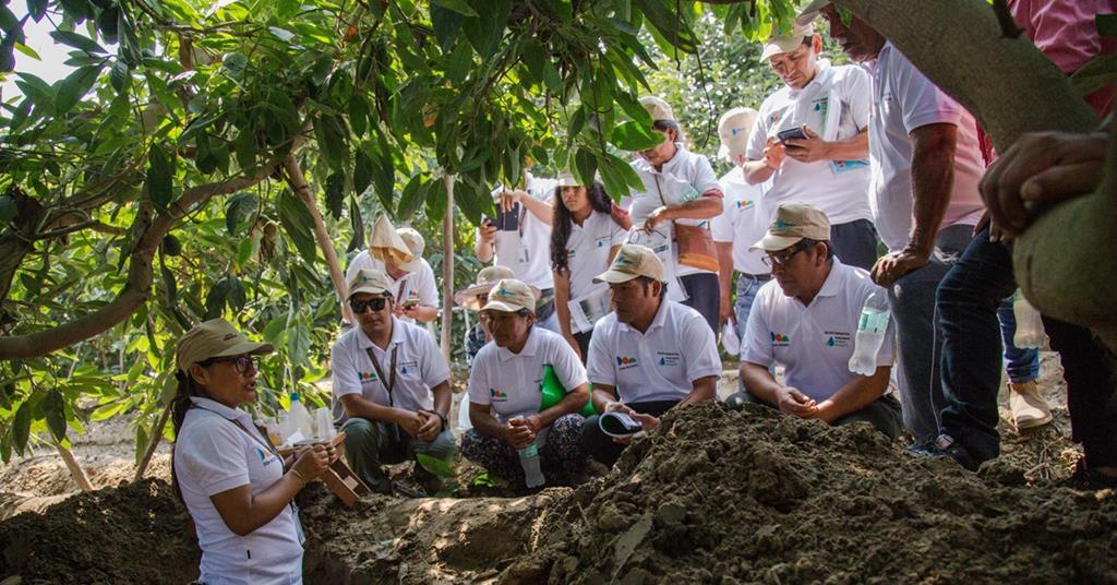 Don Ricardo doubles down on water use | Article | Fruitnet