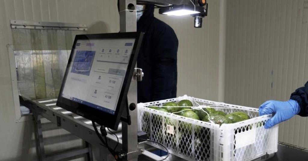 DiMuto partners with Intel to upgrade AI-enabled fruit quality control ...