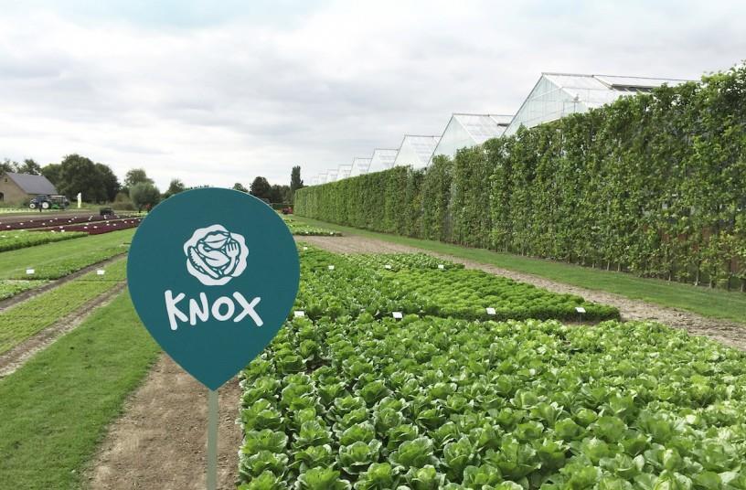 The Knox story | Article | Fruitnet
