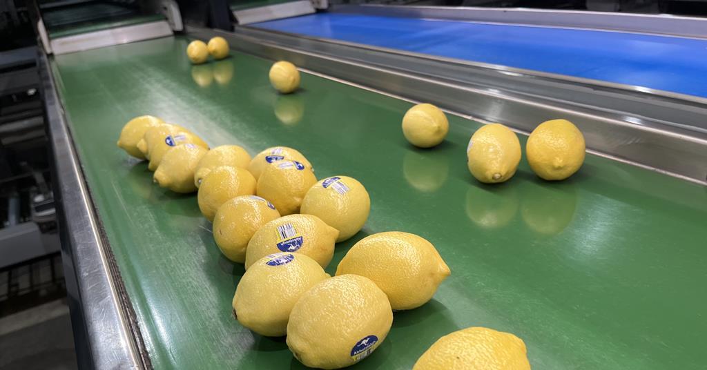 Nutrano Produce successfully trials compostable fruit stickers | News ...