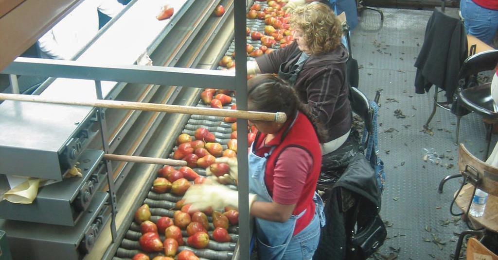 Rainier Fruit improving certification | Article | Fruitnet