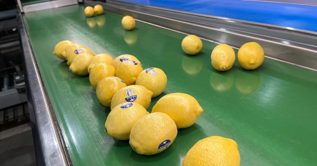 Nutrano Produce successfully trials compostable fruit stickers | News ...