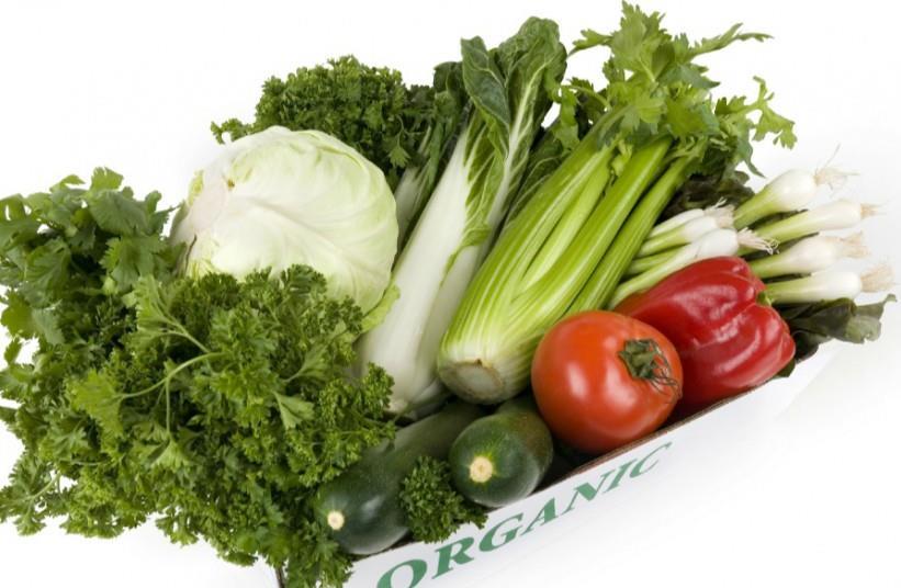 UK and Denmark in ‘biggest-ever’ organic campaign | Article | Fruitnet