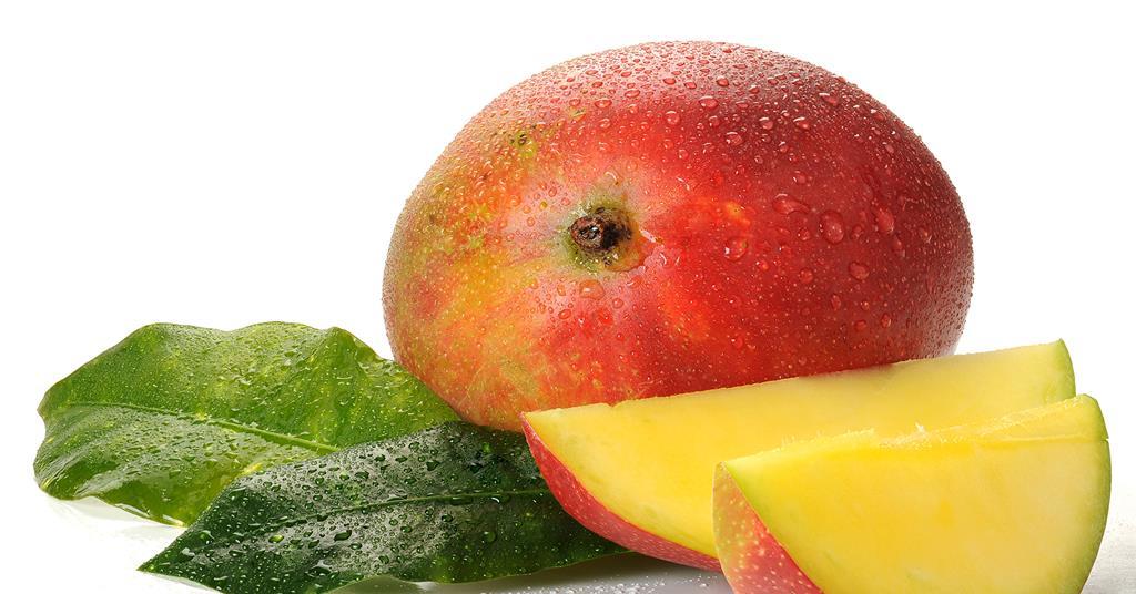 Mixed picture for mangoes | Article | Fruitnet