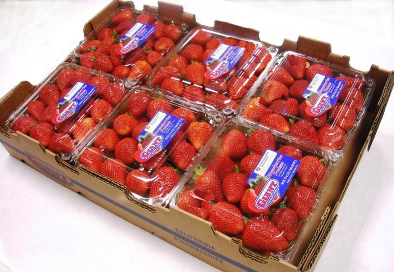 Cal Giant unveils packaging shift | Article | Fruitnet