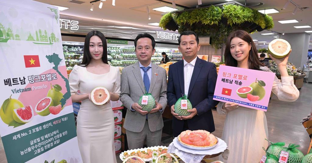 Vietnamese pomelo makes Lotte Mart debut in Korea | News | Fruitnet
