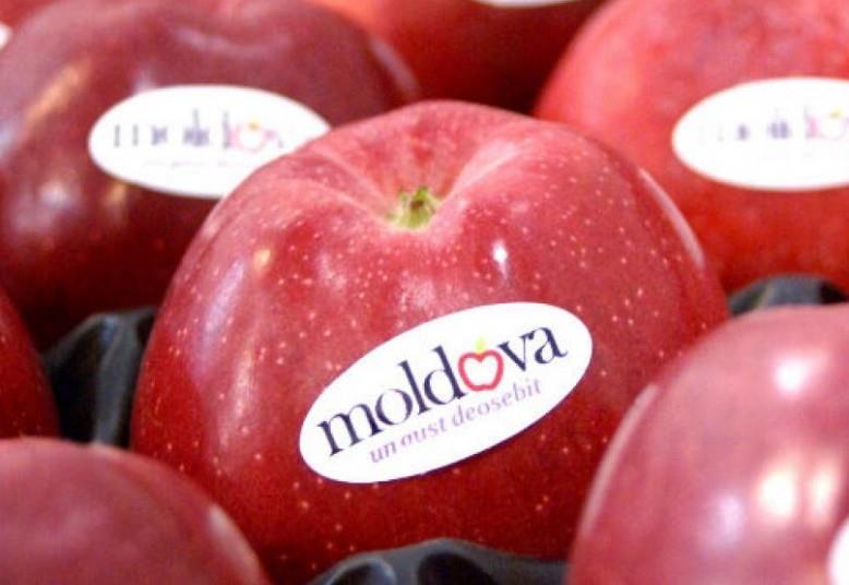 Moldovan fruit entering Russia by back door | Article | Fruitnet