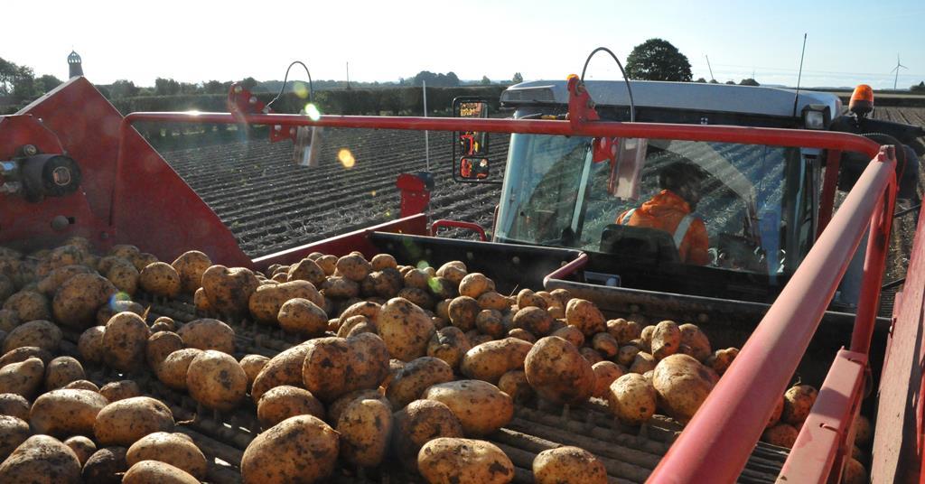 Morrisons covers growers’ costs in new trial | News | Fruitnet