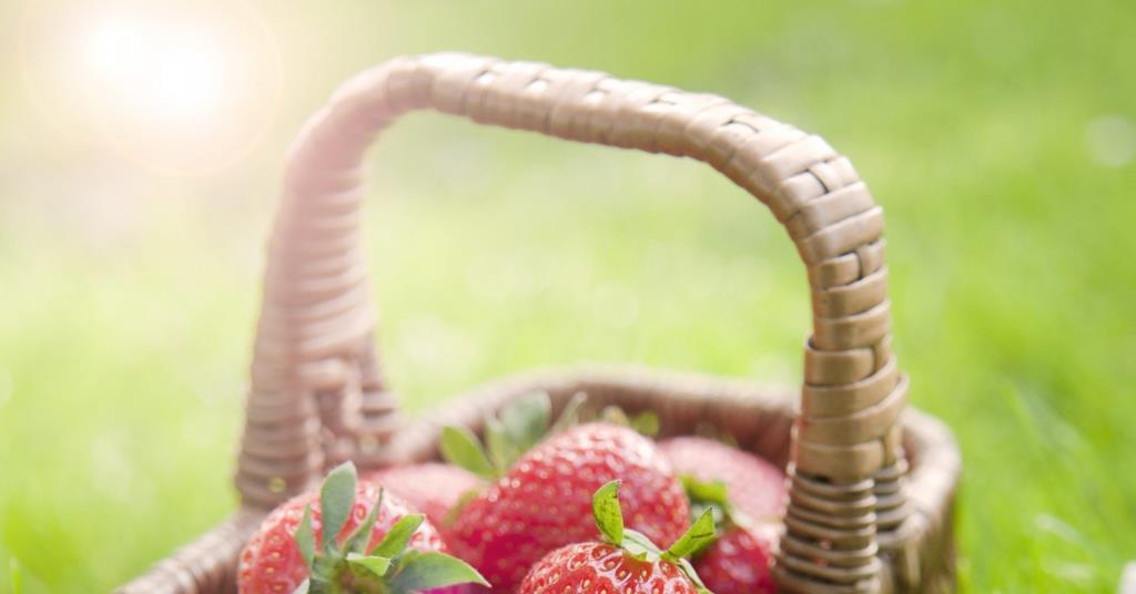 New varieties for Berry Gardens | Article | Fruitnet