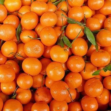 Peruvian mandarins on the up | Article | Fruitnet