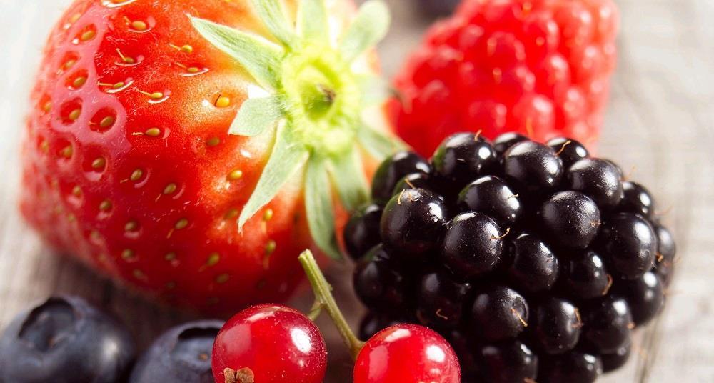 NL: The Greenery und US-Veredler Plant Sciences entwickeln neue ...