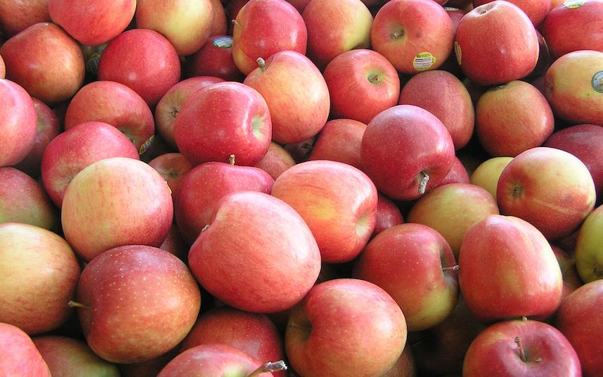 NZ pipfruit crop down on forecast | Article | Fruitnet