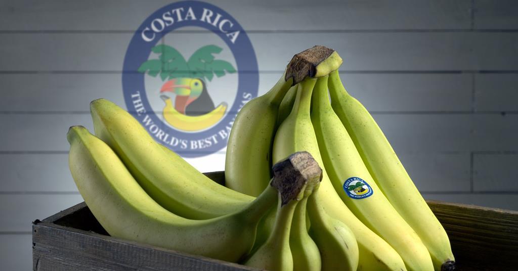 Russian growth for Costa Rican bananas | Article | Fruitnet
