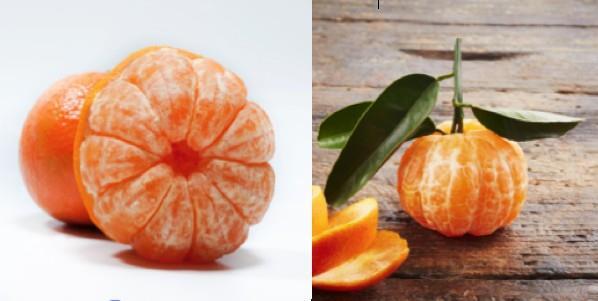 CPVO upholds Tango protection ruling | Article | Fruitnet