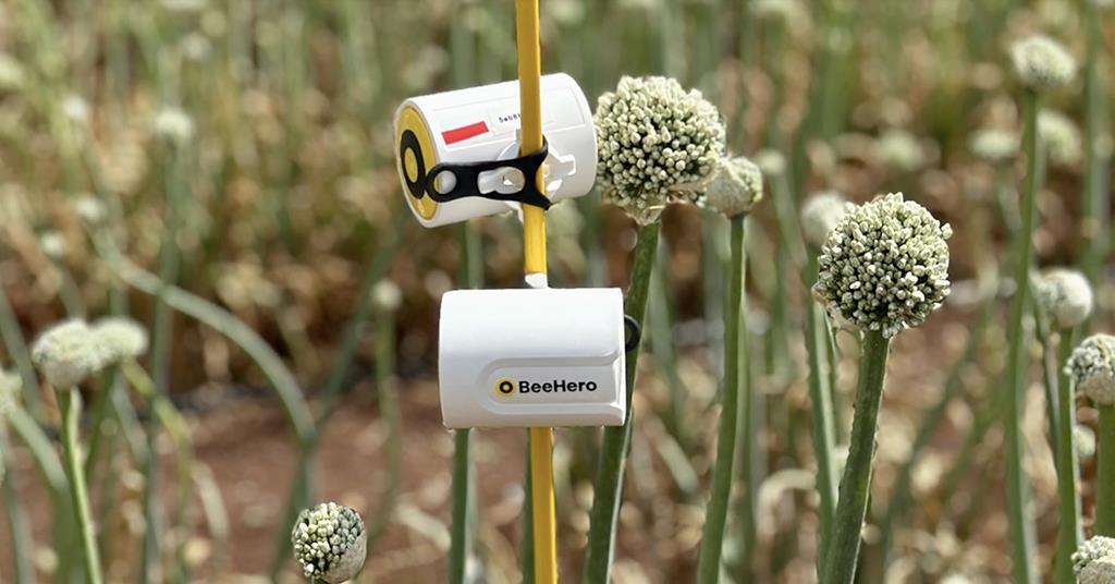 BeeHero makes Time Best Inventions list | News | Fruitnet