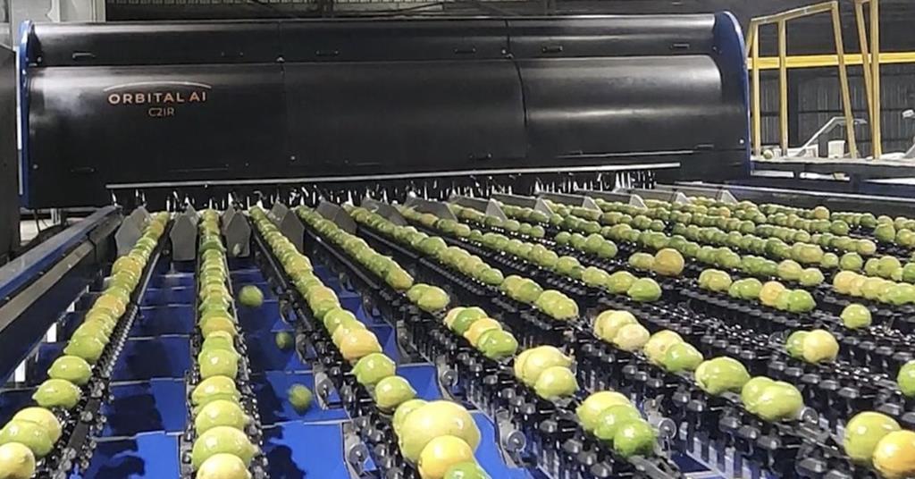 Sunkist acquires Sienz stake | News | Fruitnet