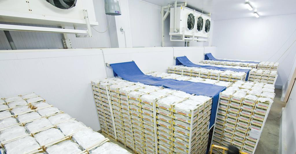 Cold chain group to tackle food waste | Article | Fruitnet