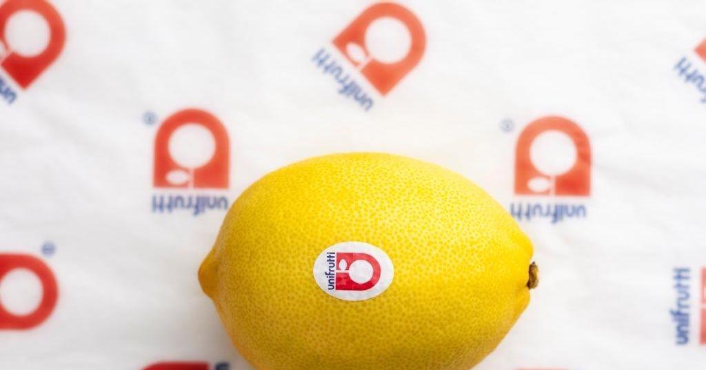 Unifrutti boosts sales of citrus with edible skin | Article | Fruitnet