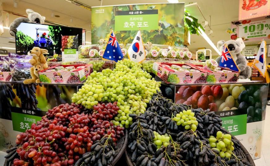 Persistence pays off for Australian grapes | Article | Fruitnet