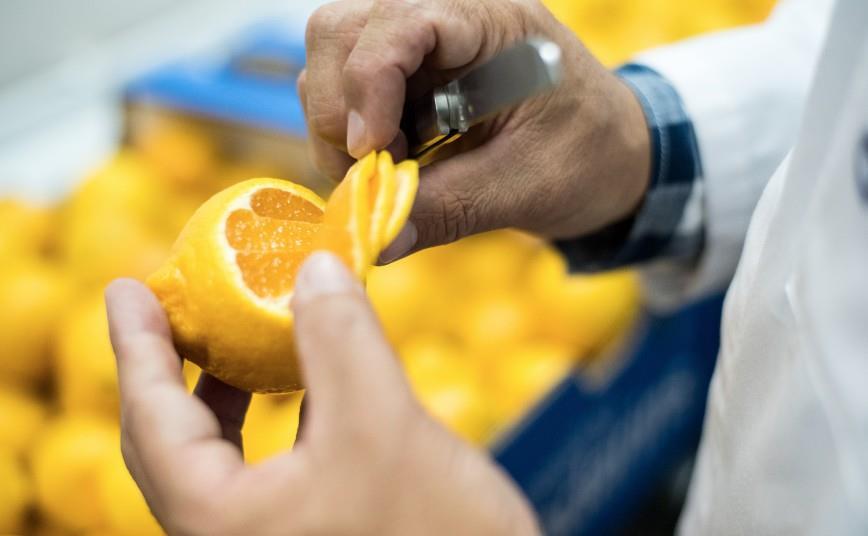 PPECB proves its worth | Article | Fruitnet