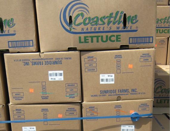 Coastline and RedLine announce PTI pilot | Article | Fruitnet