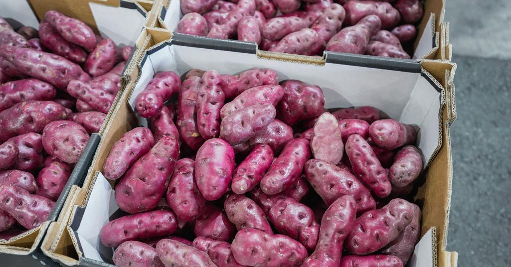 A taste of winter: Perth Markets welcomes seasonal produce from local ...