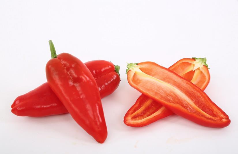 The long road to seedless peppers | Article | Fruitnet