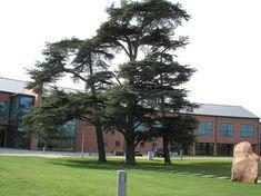 NFU opens new headquarters | Article | Fruitnet