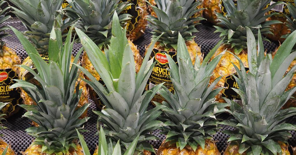 Stronger Q3 results reported by Del Monte | News | Fruitnet