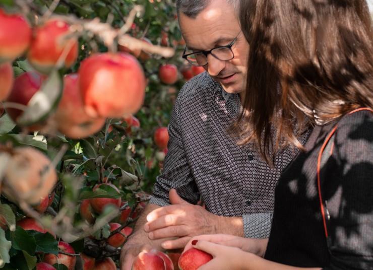 Pink Lady aims to boost trust | Article | Fruitnet