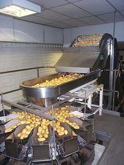 Greenvale develops organic spud range | Article | Fruitnet