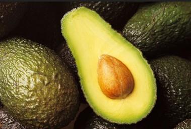 Spanish avocado production under threat | Article | Fruitnet