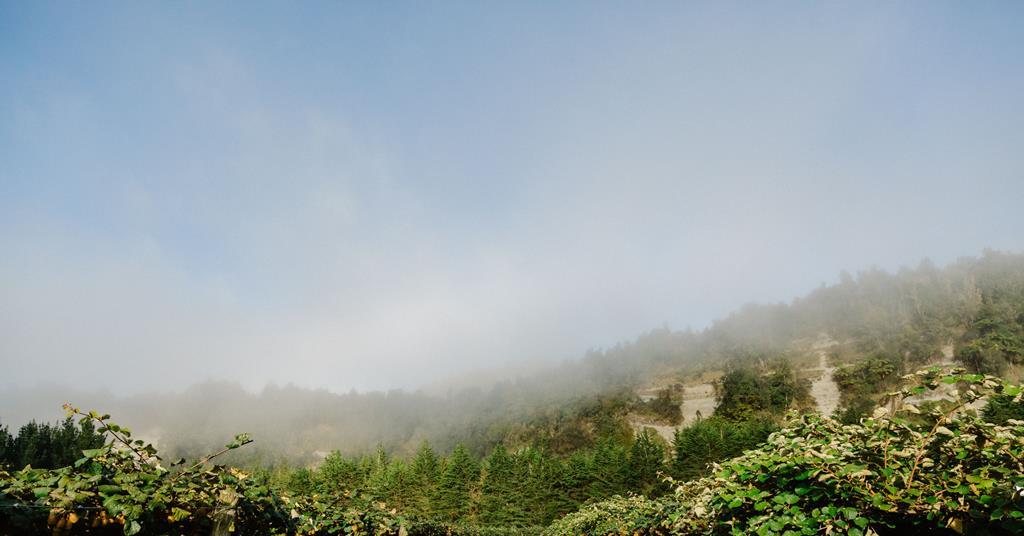 Zespri aspires to produce greenest fruit possible | News | Fruitnet