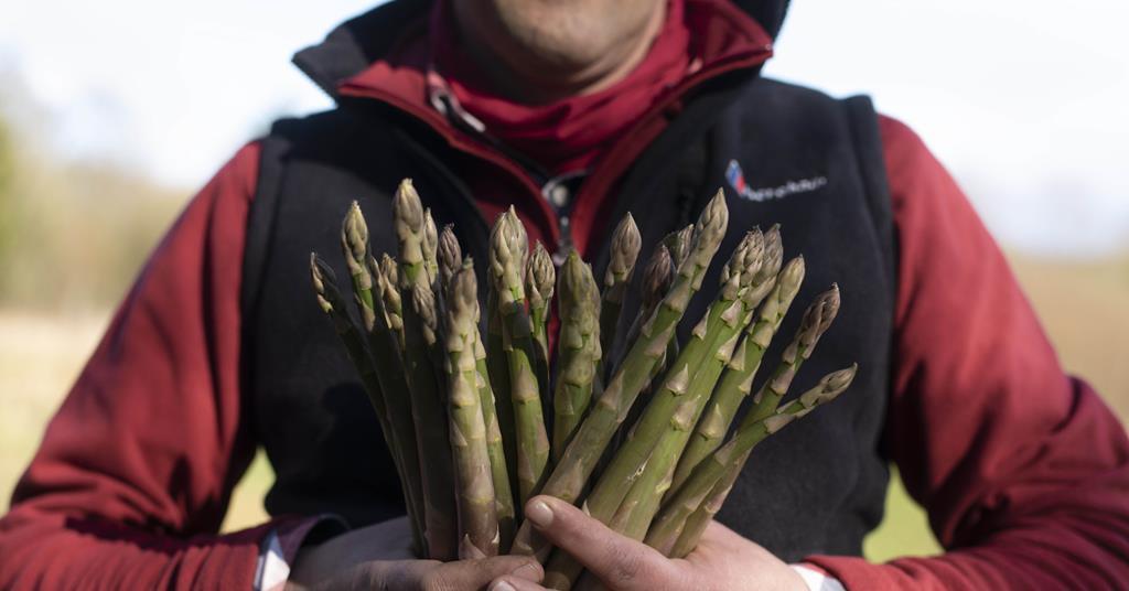 Waitrose stocks early asparagus crop | Article | Fruitnet