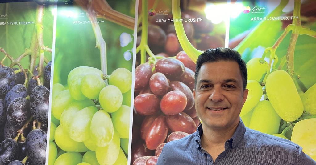 Greek grapes help extend season for Europe | News | Fruitnet