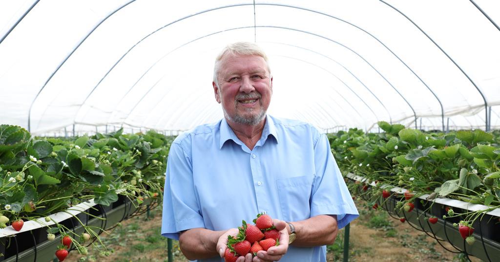 Nick Marston to step down as British Berry Growers chair after nine ...
