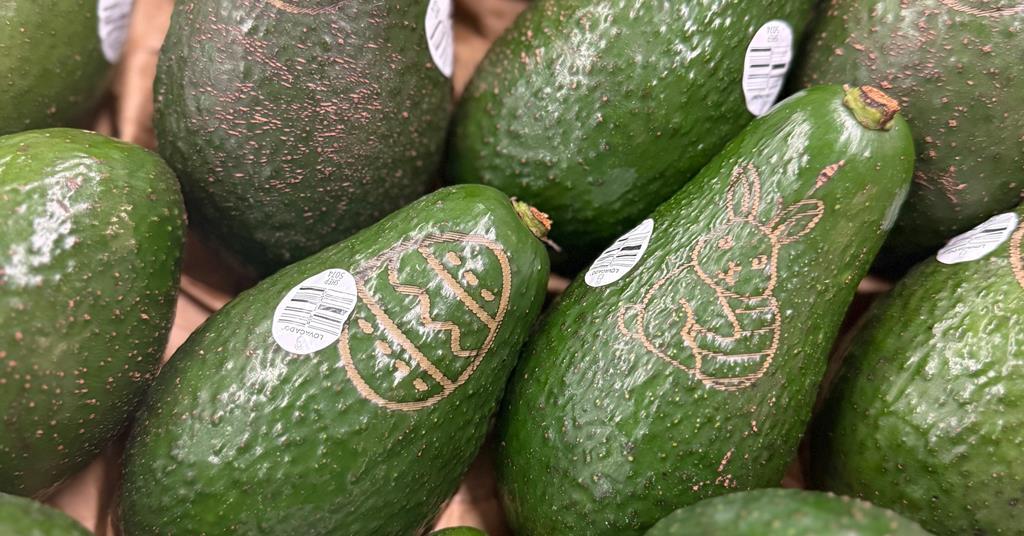 Costa trials laser etching on avocados in Easter promotion | News ...