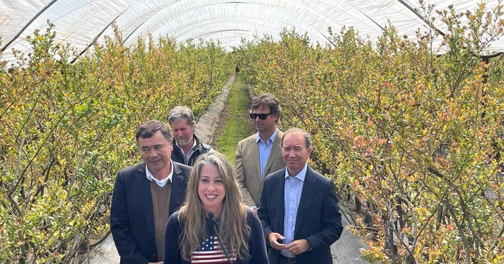 Chilean Blueberry Committee showcases industry advances | News | Fruitnet