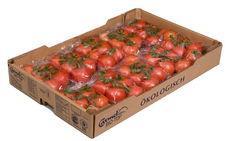 Israeli organic tomatoes promising | Article | Fruitnet