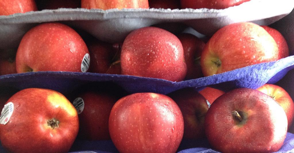 Washington apple forecast nears record | Article | Fruitnet