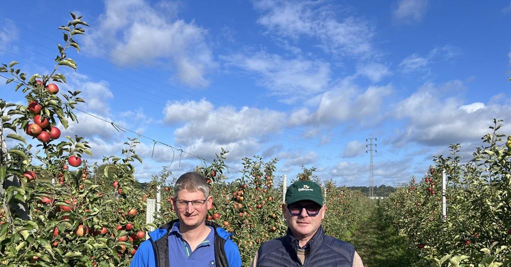 Exceptional quality cheers Belgian topfruit growers | Features | Fruitnet