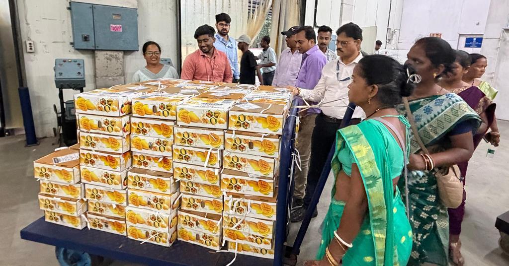 Indian state exports first mango shipment to UK as global shortage ...