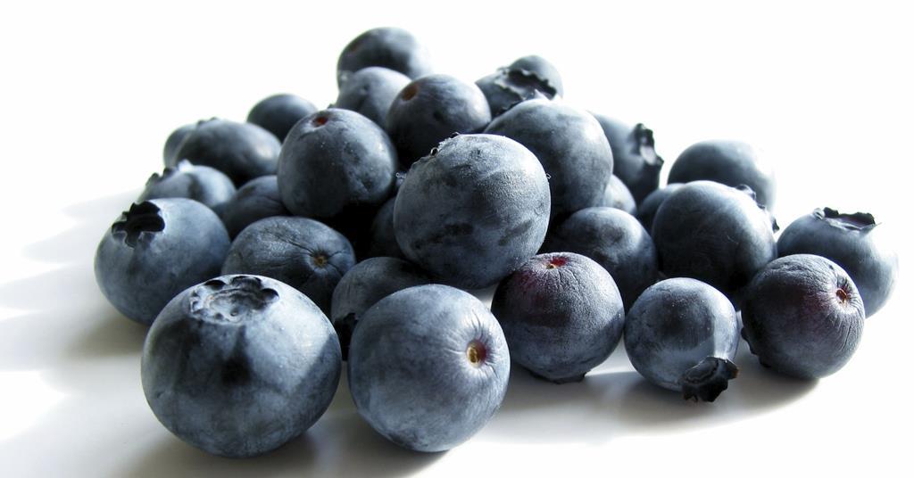 Chile's landmark blueberry mission | Article | Fruitnet
