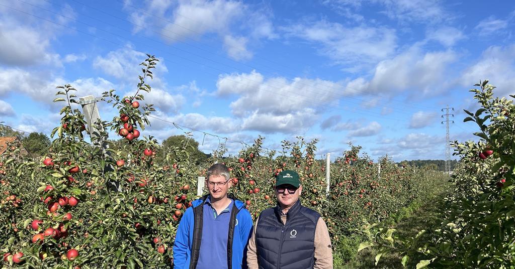 Exceptional quality cheers Belgian topfruit growers | Features | Fruitnet