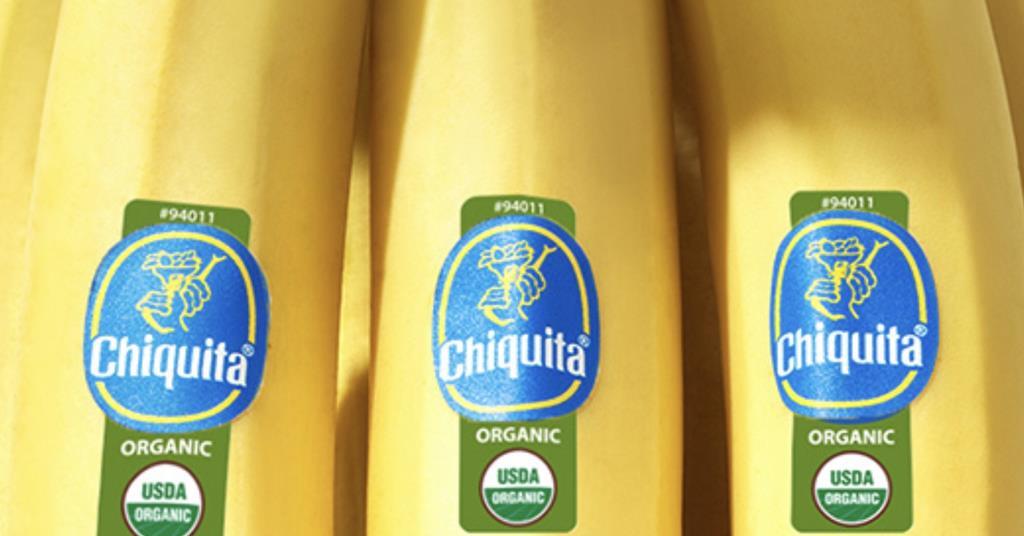 Chiquita launches organic banana trial in Sicily with Italian ...