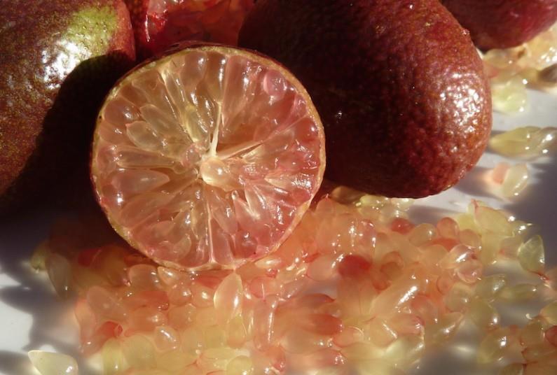 Red limes make their mark | Article | Fruitnet