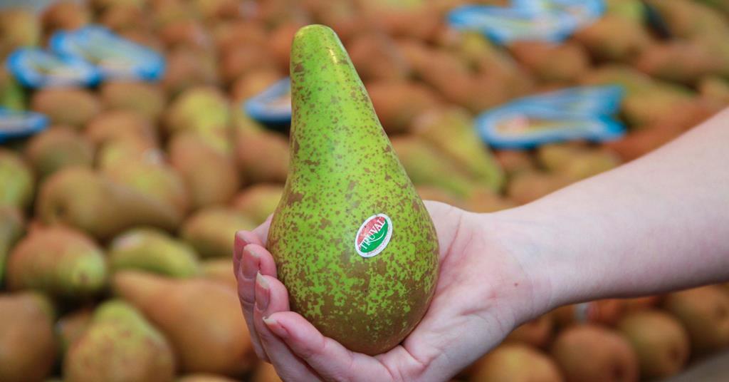 Belgian Conference pears make inroads in Brazil | News | Fruitnet