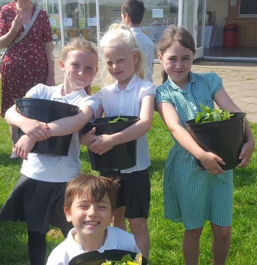 Kids harvest produce at industry-backed GYO event | Article | Fruitnet